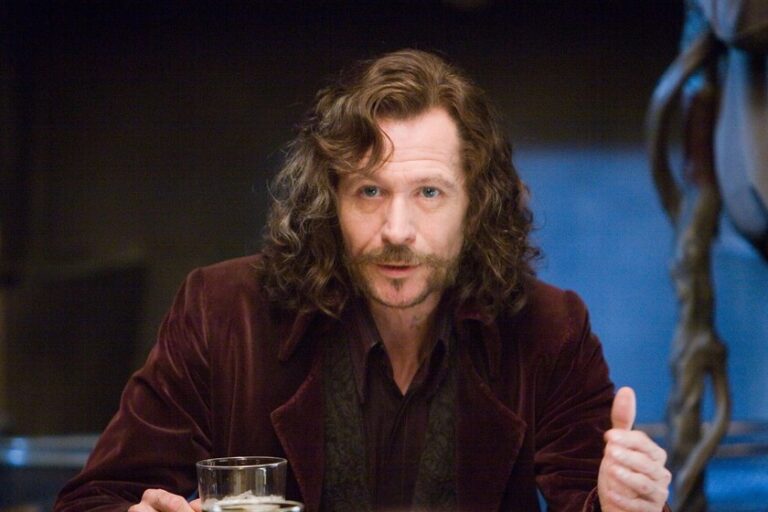 Gary Oldman achaca al secretismo de la saga Harry Potter su "mediocre ...
